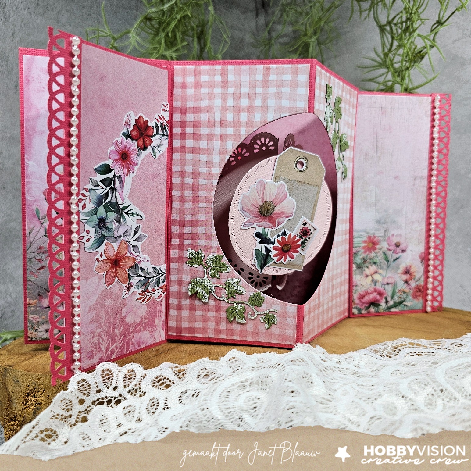 26-02-2025 - Janet Blaauw - Inkijker | HobbyVision